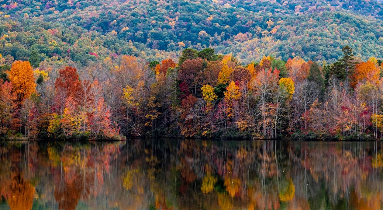 Top 10 Places to Visit in North Georgia